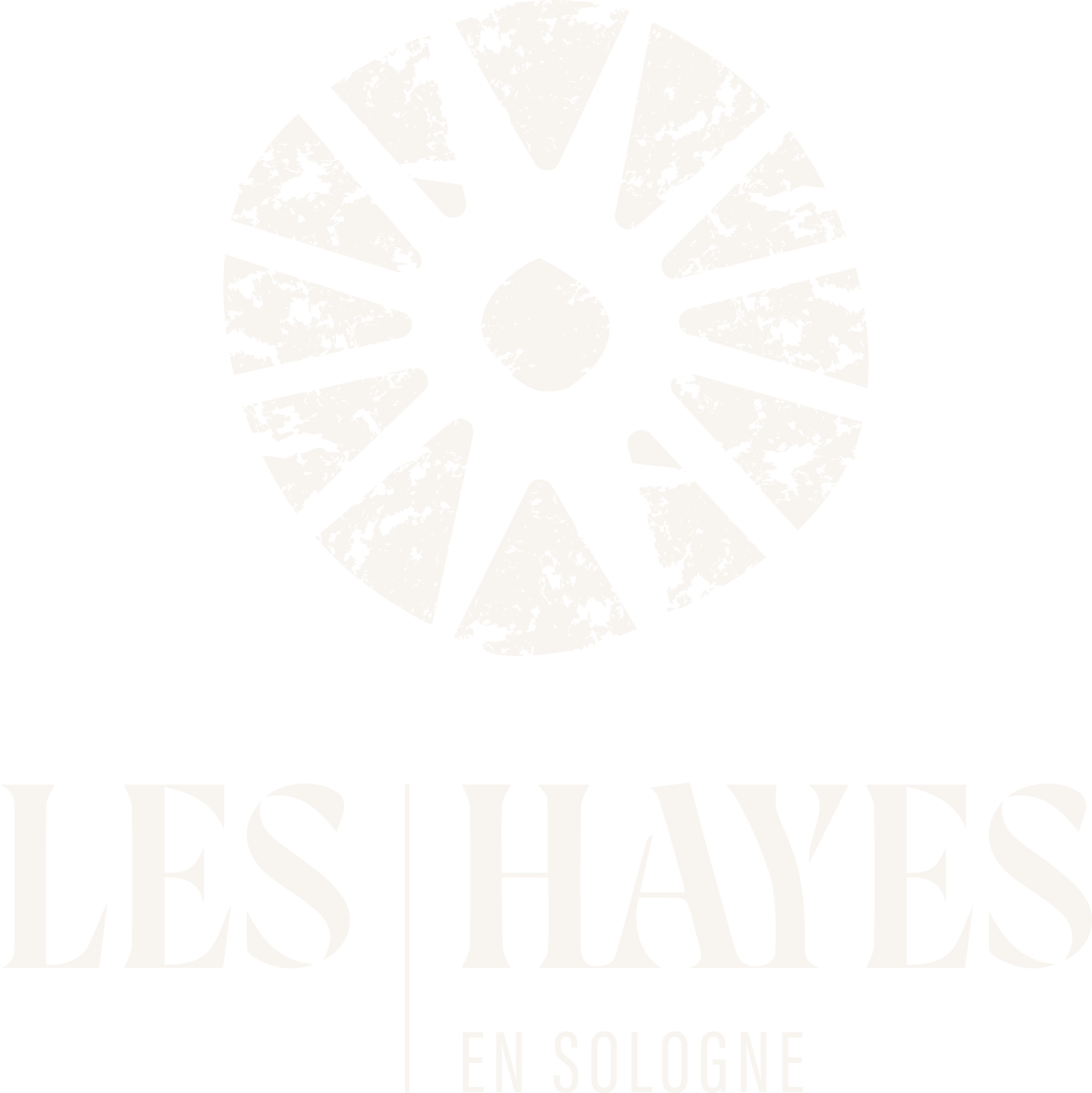 Hotel Les Hayes en Sologne - Chambord
