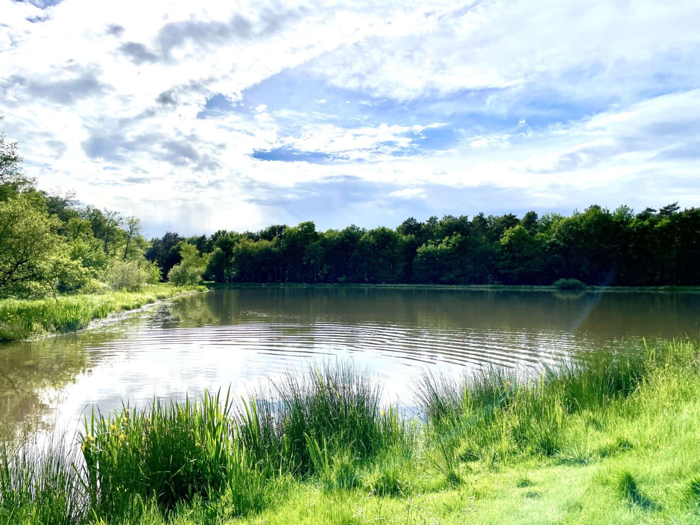 Le domaine des Hayes - Les Hayes en Sologne - hôtel