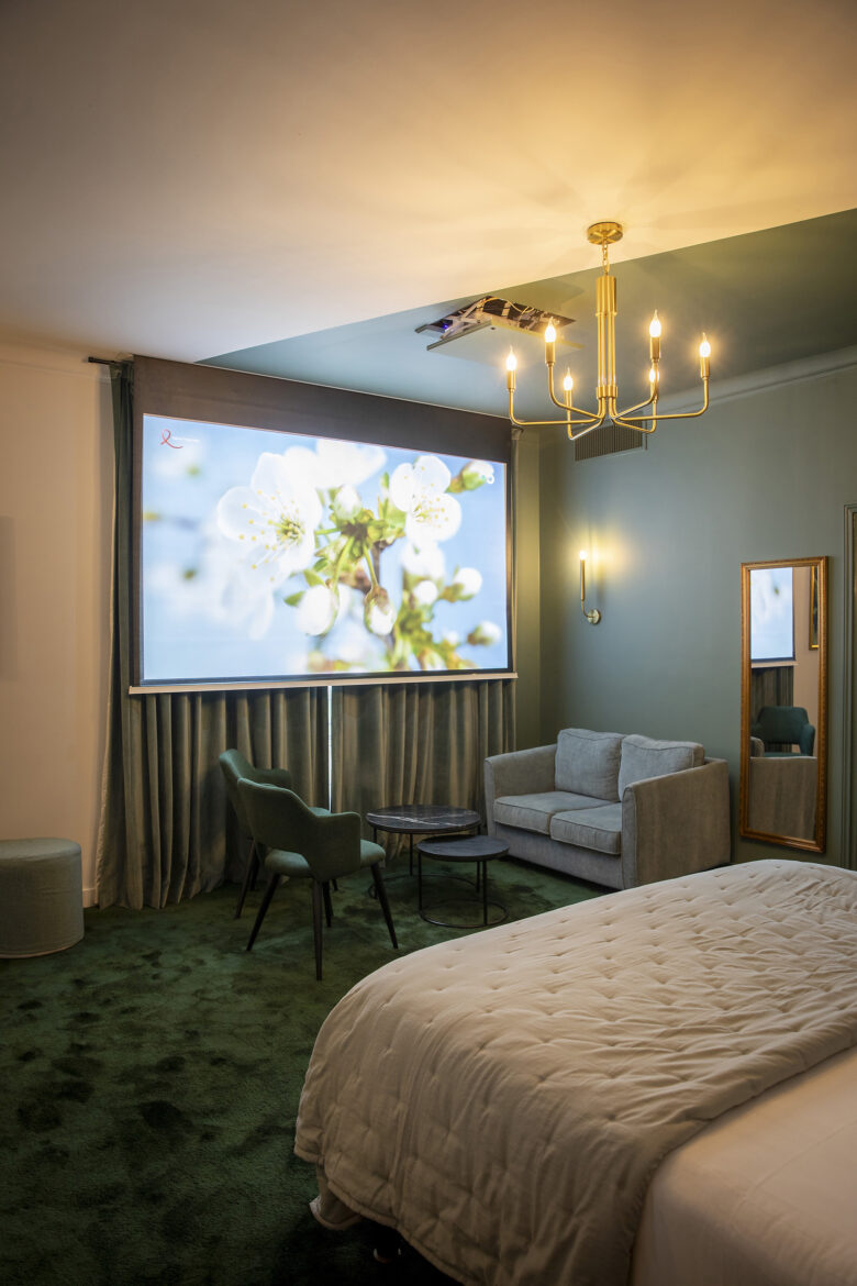 Home cinema Chateau suite pond view - Les Hayes en Sologne - hôtel